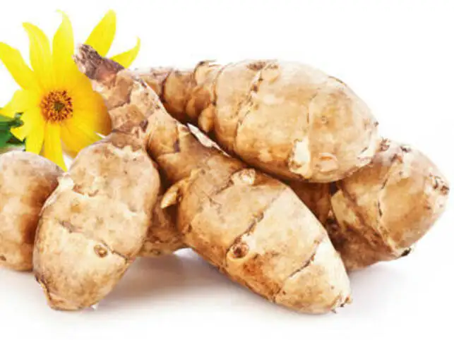 All about Jerusalem artichokes; a vegetable that looks like ginger ...