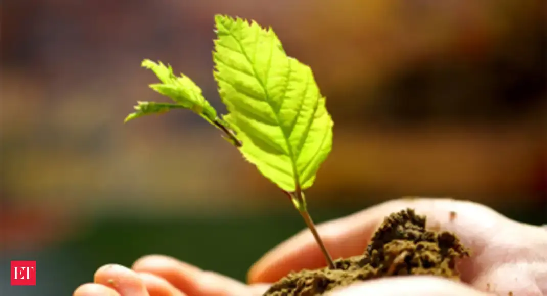 India to present sapling of original Bodhi Tree to Thailand - The ...