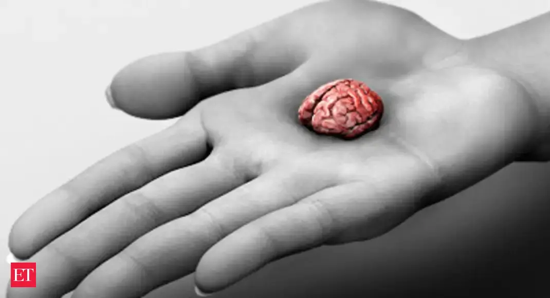 Scientists grow mini human brains in lab - The Economic Times