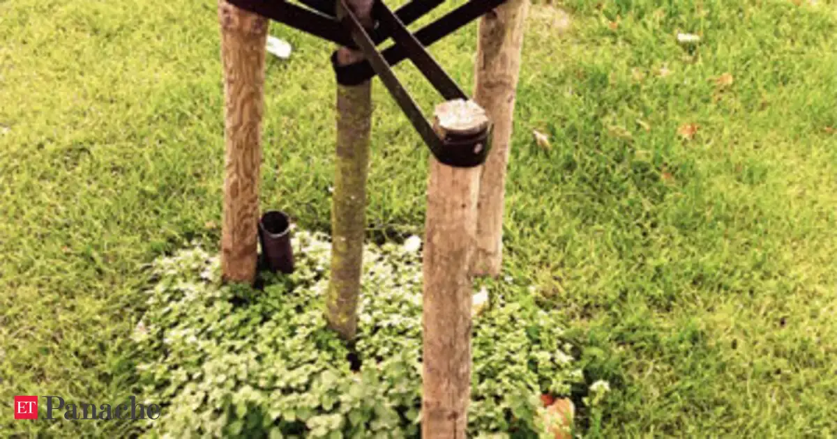 Photo synthesis: The agency tree - The Economic Times