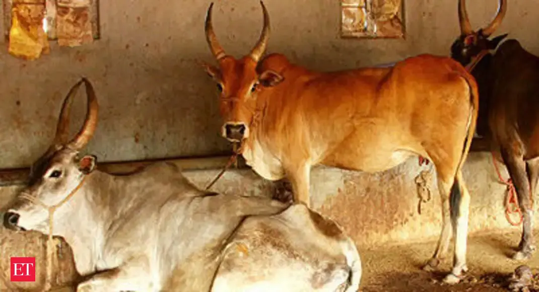 Cargill India actively pursuing cattle feed project in Punjab - The ...