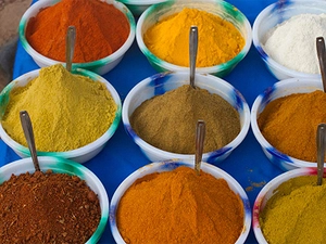 DS Group expands product portfolio - The Economic Times