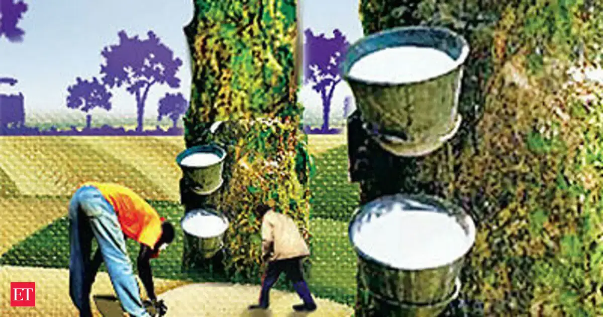 Natural rubber import jumps 91% to 18,141 tonnes in Feb - The Economic ...