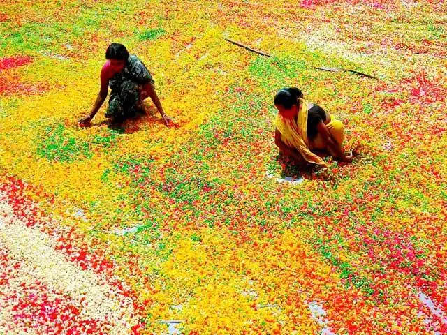 Election officials in Budgam, Kashmir - April 29, 2014 | The Economic Times
