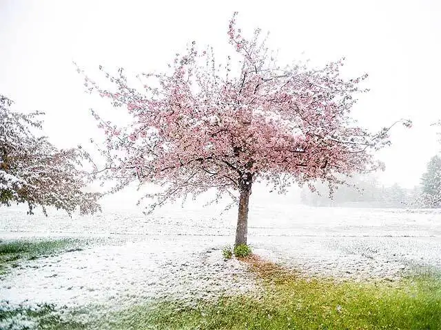 Visual Delight! Heavy snow hits parts of US - Visual Delight! Heavy ...