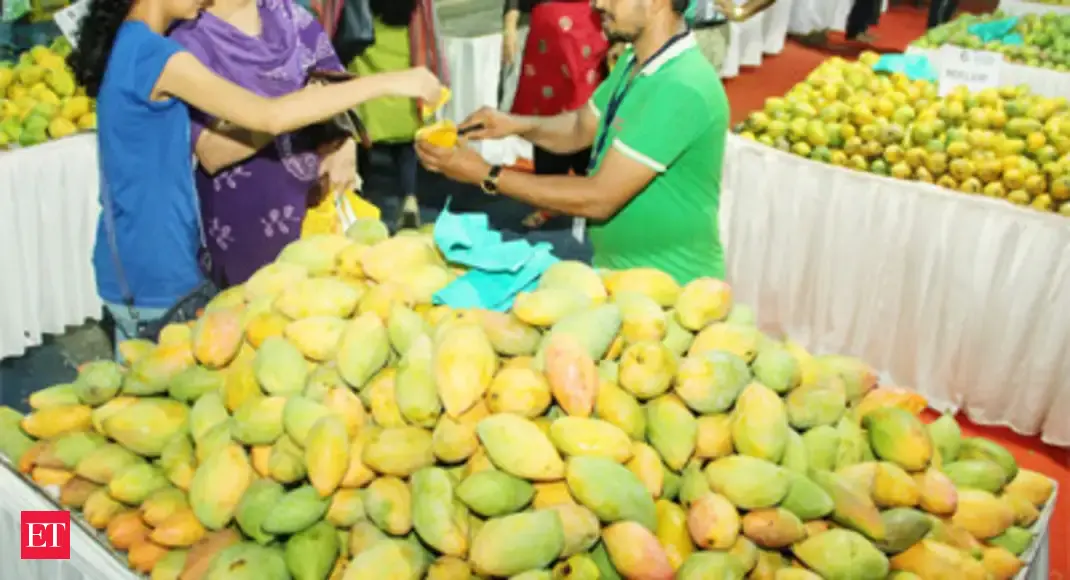Indian mangoes part of mango festival in Saudi Arabia - The Economic Times