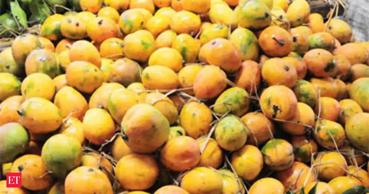 Mango import ban: EU to send high-powered delegation to India - The ...