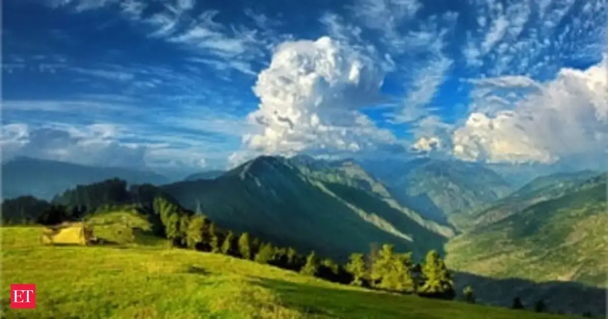 Himalayan Bulls Airlines: Himalayan Bulls charts new flight path to ...