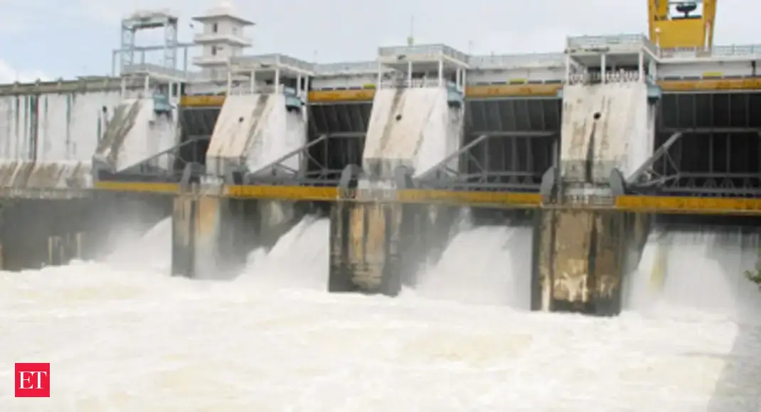 Assam not exerting pressure on Centre on Lower Subansiri dam - The ...