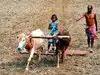 landless farmers: Latest News & Videos, Photos about landless farmers ...