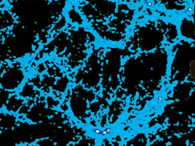 Scientists conducting experiments to detect dark matter - The Economic ...