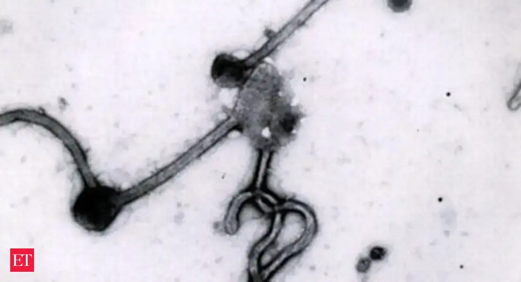 Health officials draw up plan of action to keep Ebola at bay - The ...