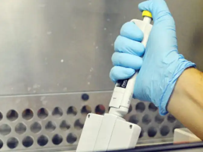 New vaccine may fight both tuberculosis and leprosy - The Economic Times