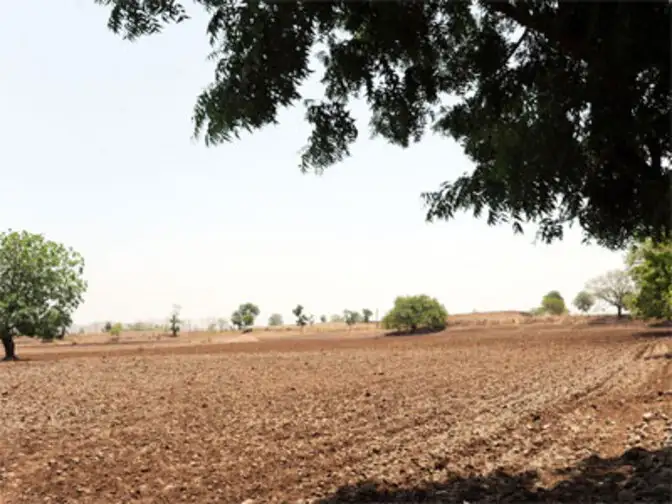 Over 46,000 bighas of agricultural land transformed in Assam - The ...