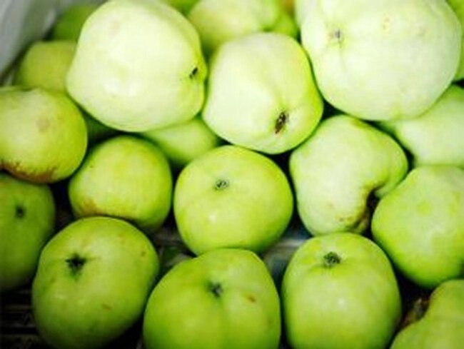 Australia's iconic gift to the world: The Granny Smith green apple ...
