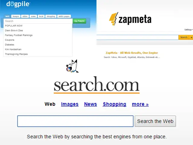 Image search - Seven tips to search the internet better | The Economic ...