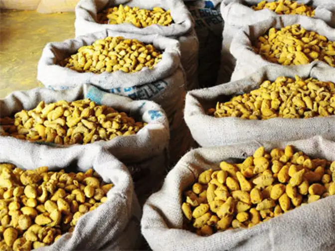 Arjuna Natural Extracts bags turmeric patent from US - The Economic Times