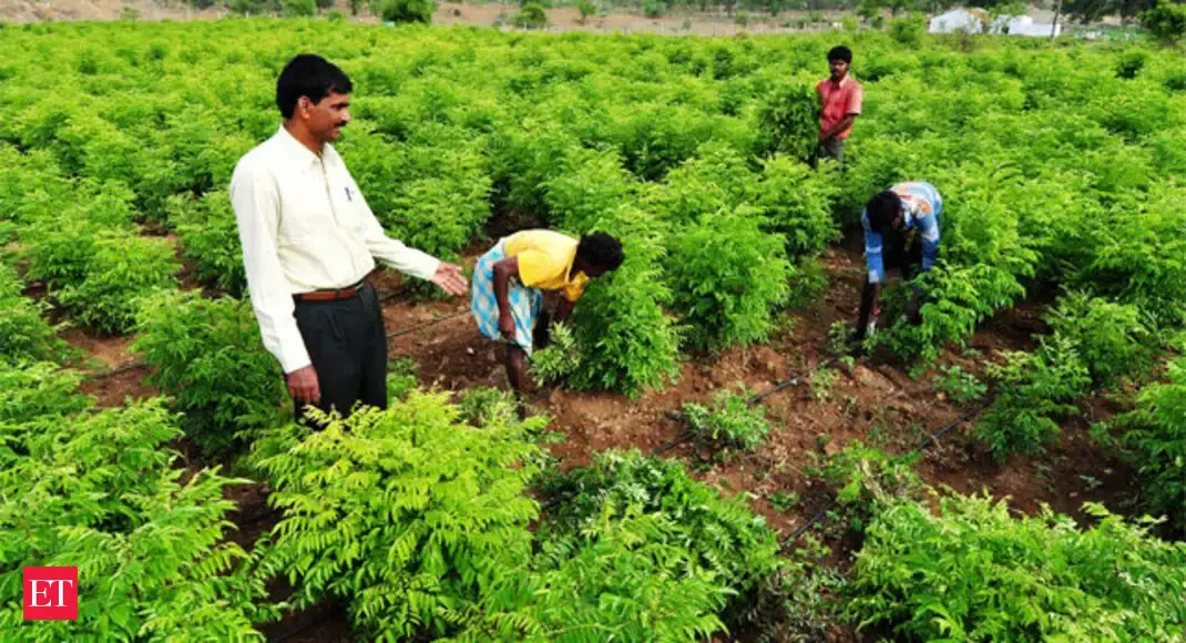 Sikkim government to promote organic farming - The Economic Times