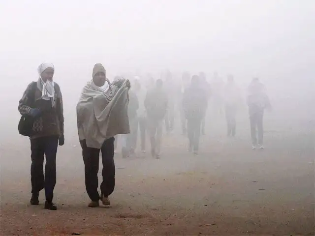 North-bound trains affected by dense fog - Fog disrupts normal life in ...