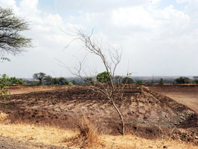 Drought may have led to collapse of Mayan civilisation - The Economic Times