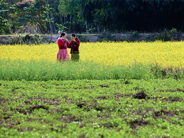 Garamur in Assam: Visit the largest river island of India - The ...
