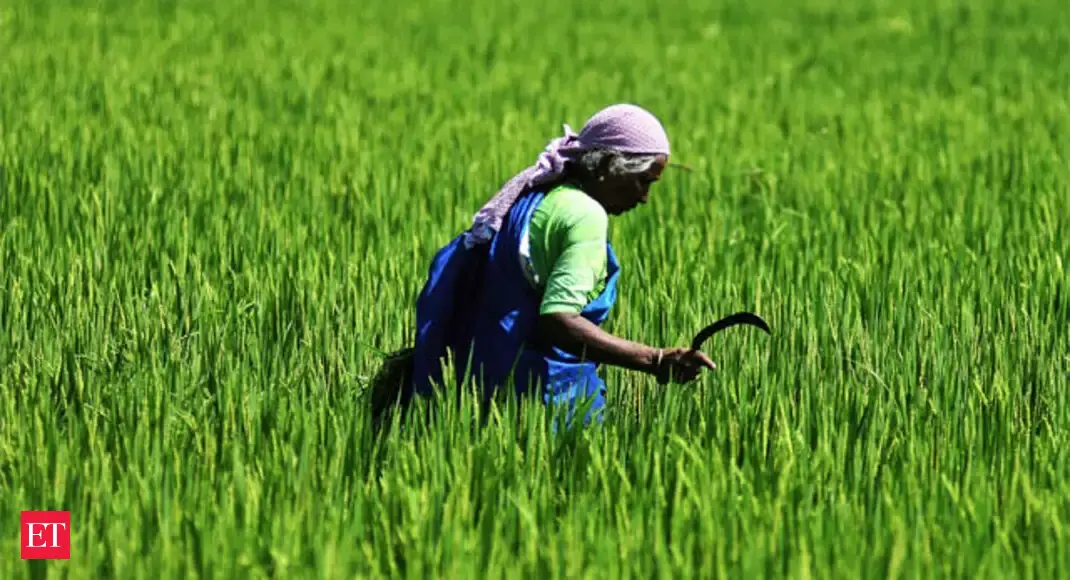 'Smart Farmers of Bihar' use technology to deal with climate change ...