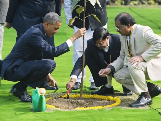US President Barack Obama planted a tree in Delhi; can its state be ...