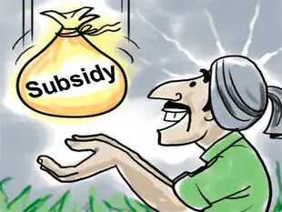 Five smart things to know about subsidy - The Economic Times