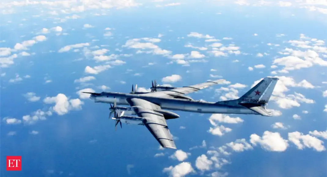 Bat wings could inspire better aircraft design - The Economic Times