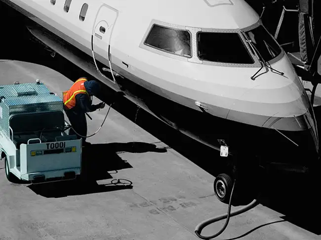 Cheaper jet fuel from fungus in five years: Study - The Economic Times