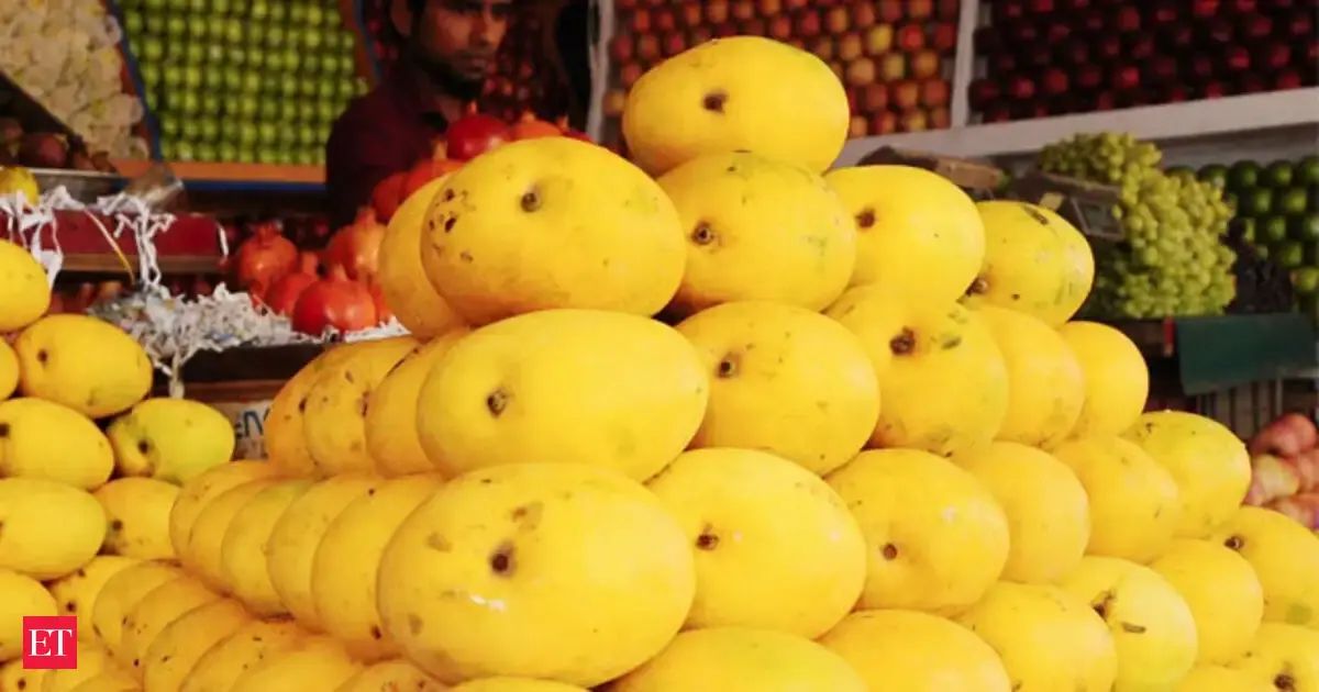 Over production, distribution issues puts Malda mango merchants in ...