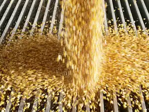 Cargill's Rs 600 crore corn milling plant to be operational in October ...