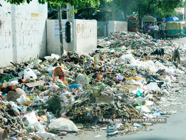 Not a good picture - Delhi's garbage mess rings alarm bell for health ...