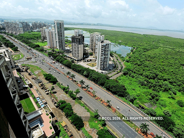 What government would do to achieve its target - Green Pledge: India's ...