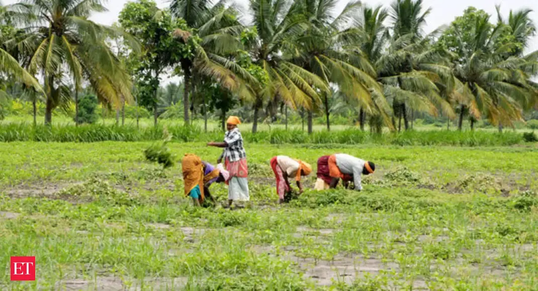 Indian agro-chemicals sector to touch $7.5 billion by 2019: Report ...