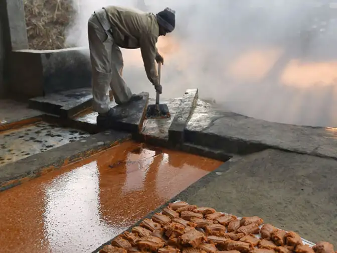 Balrampur Chini Mills to promote Pramod Patwari as CFO - The Economic Times