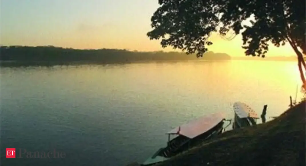 Exploring the flora and fauna in the Amazon basin - The Economic Times