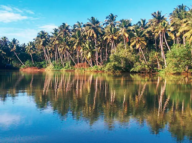Now calling: A backwater cruise in Kerala! - The Economic Times