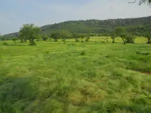 India's Agasthyamala listed among 20 world biosphere reserves - The ...