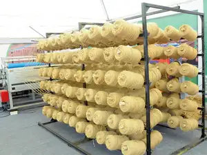 Kerala’s product diversification, modernisation give India’s coir ...