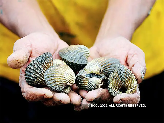 100 Quintillion Pengo - 10 unusual currencies around the world | The ...