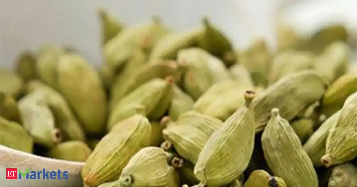 Cardamom: Cardamom prices may touch Rs 1,000 a kg - The Economic Times