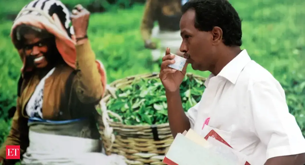 Adverse climatic conditions to have negative impact on tea cultivation ...