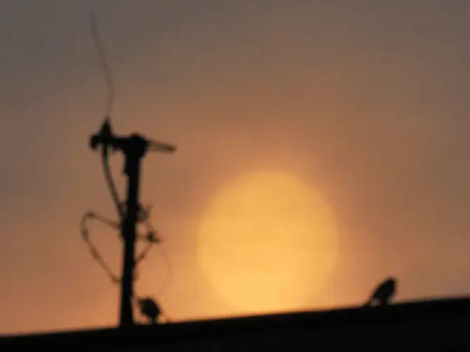 NASA: NASA spots giant coronal hole on Sun - The Economic Times