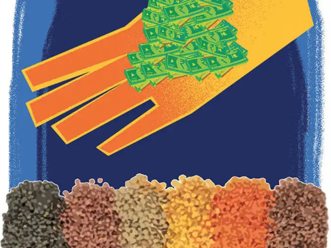 Government raises minimum support price for pulses - The Economic Times
