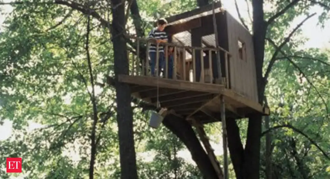 New leaf out of Jungle Book, in a luxury tree house - | The Economic Times