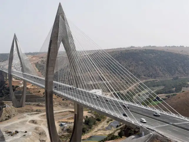Nature: Indestructible, nature-inspired bridges may soon be a reality ...