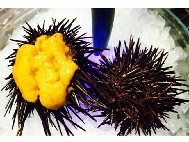 Try 'uni', the edible part of sea urchin at Yuuka - The Economic Times