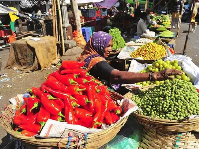 Red chilli production to grow massively in India next year - The ...