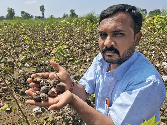 After two years of drought, floods drown farm hopes in Marathwada - The ...